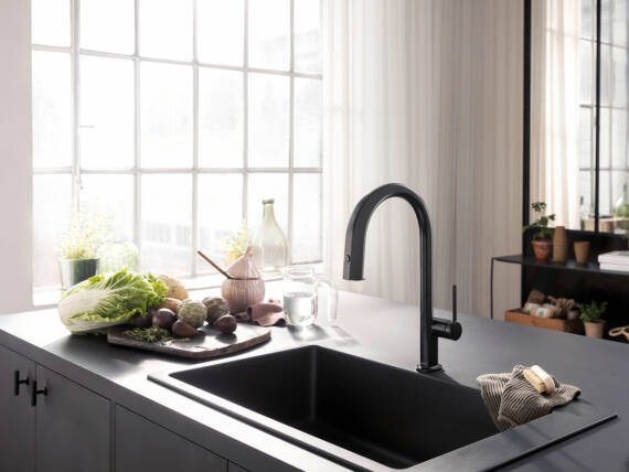 hansgrohe Kitchen mixers: Aqittura M91, FilterSystem 210, pull-out ...