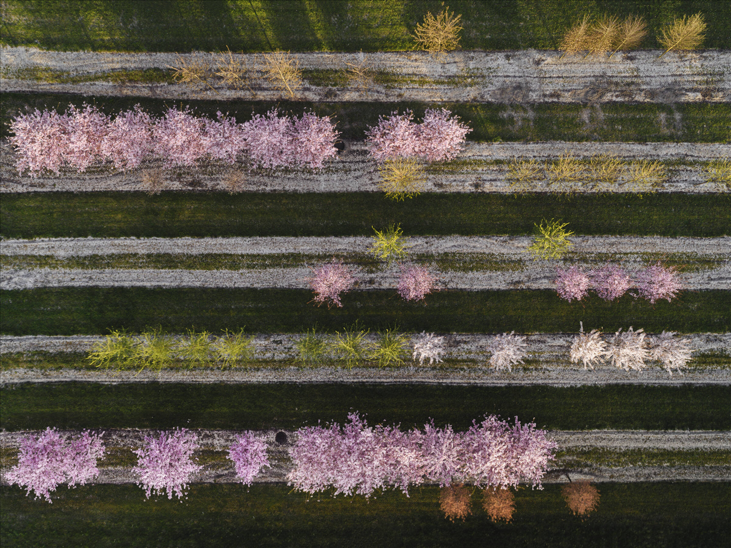 p-places-massaud | AXOR US