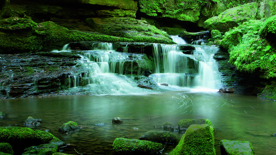 Save water with some good water-saving tips