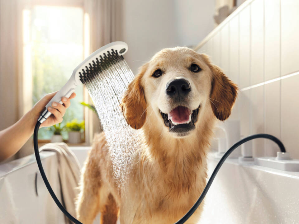 hansgrohe Dog showers: DogShower, Dogs hand shower 150 3jet Select ...
