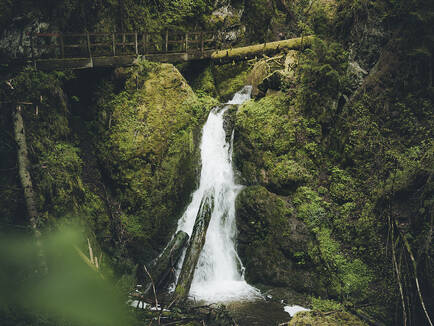 ShowerSelect Comfort E Brausearmaturen: Einhebel, 2 Verbraucher, Chrom ...