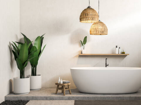 Planter i badet: Vores top 10