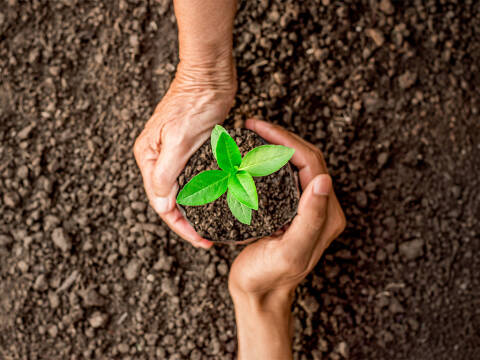 The hansgrohe climate protection strategy