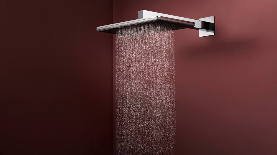 hansgrohe Raindance Alive