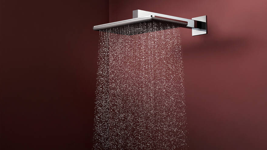 hansgrohe Raindance Alive