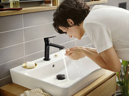 hansgrohe Porter sets: Bidette hand shower 1jet S EcoSmart for warm ...