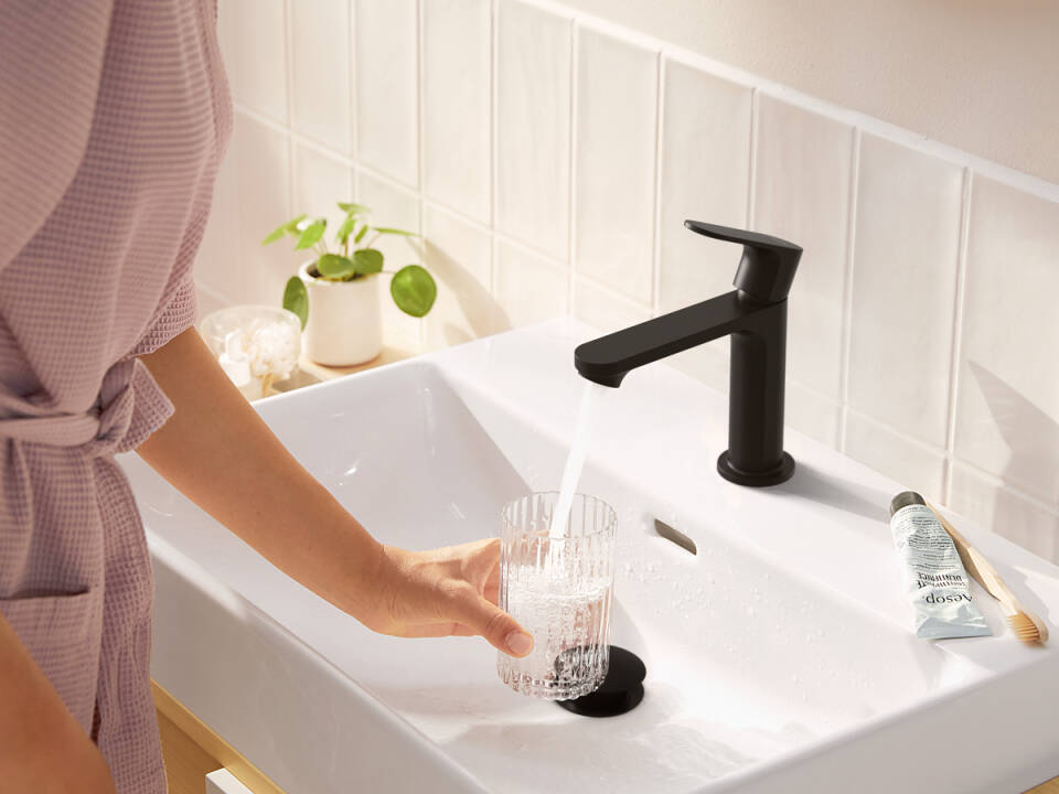 hansgrohe Hand sink faucets: Rebris S, Single-Hole Faucet 110 with Pop ...