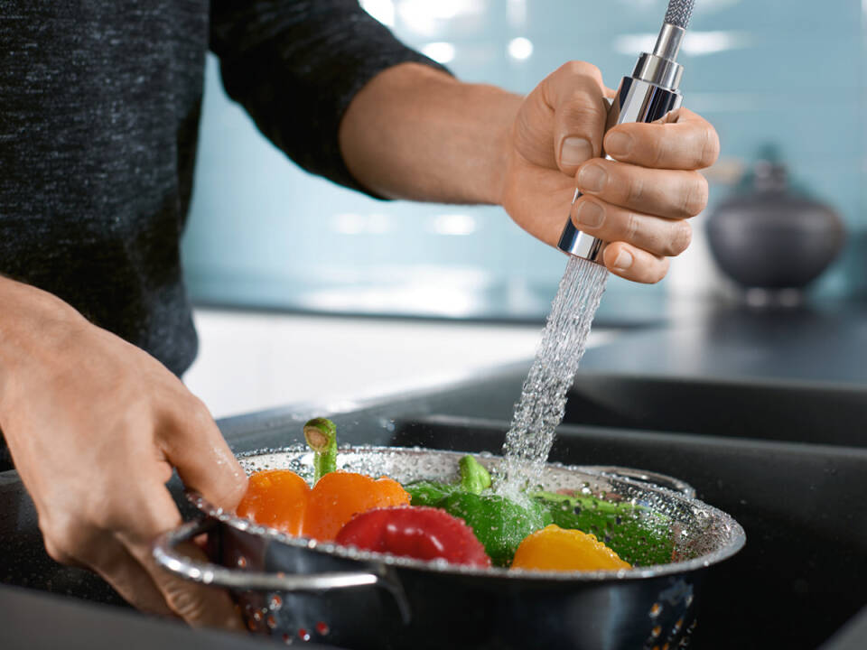 hansgrohe Kitchen mixers: Talis M54, Single lever kitchen mixer 220 ...