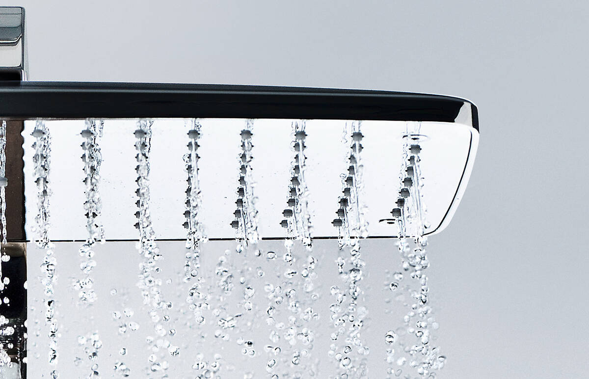 hansgrohe Shower pipes: Raindance E, 1 spray mode, Item No. 27112000 ...
