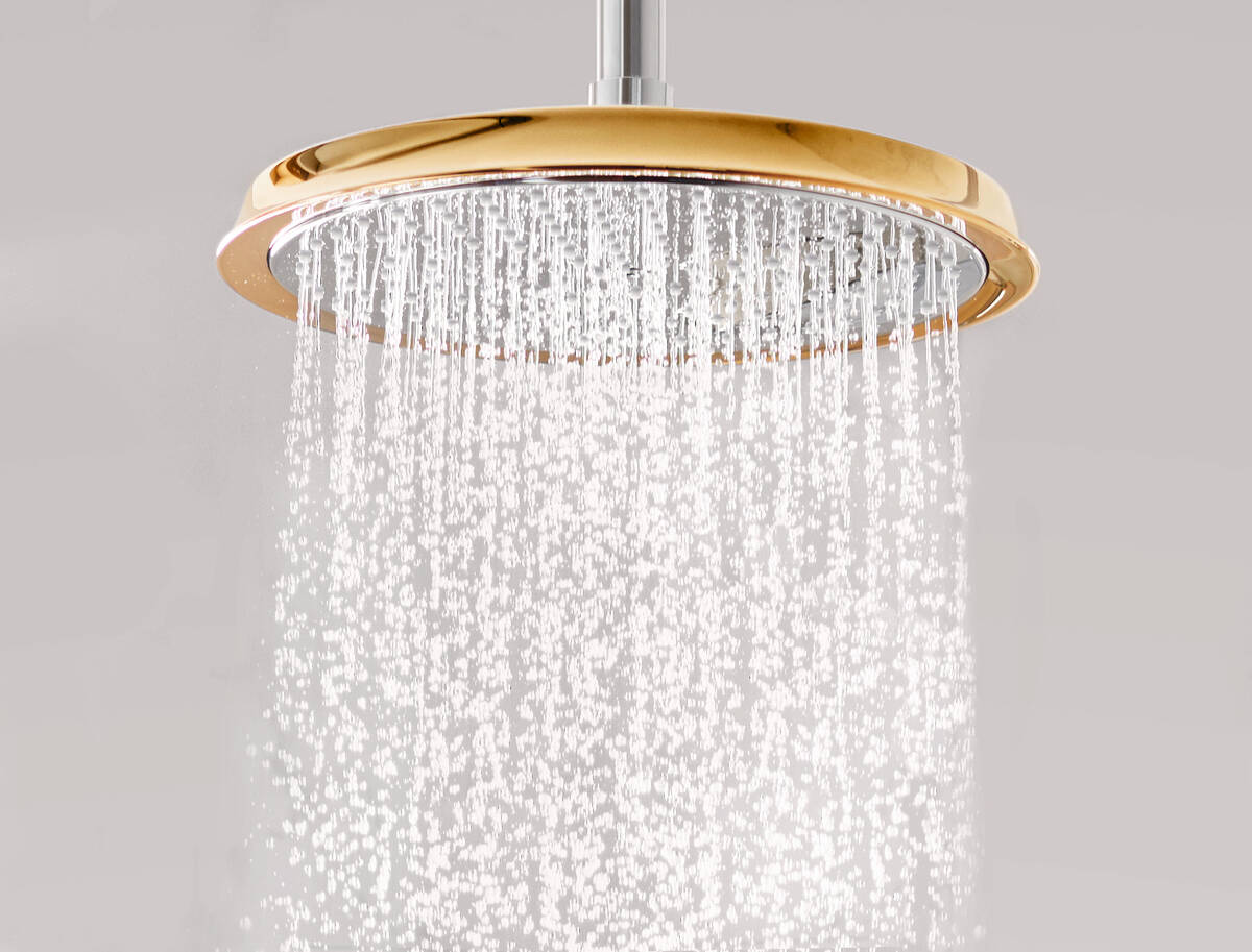 hansgrohe Duchas fijas: Raindance Classic, 1 tipo de chorro, ref ...