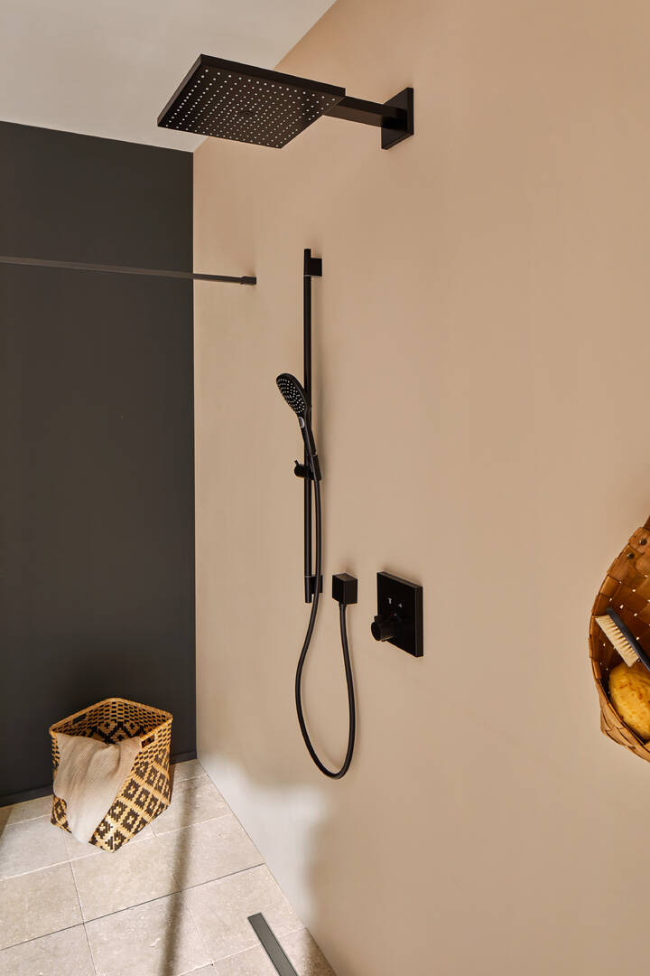 hansgrohe Overhead showers: Raindance E, 1 spray mode, Item No ...