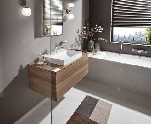hansgrohe Washbasin faucets: Vivenis, Single-Hole Faucet 110 with Pop ...
