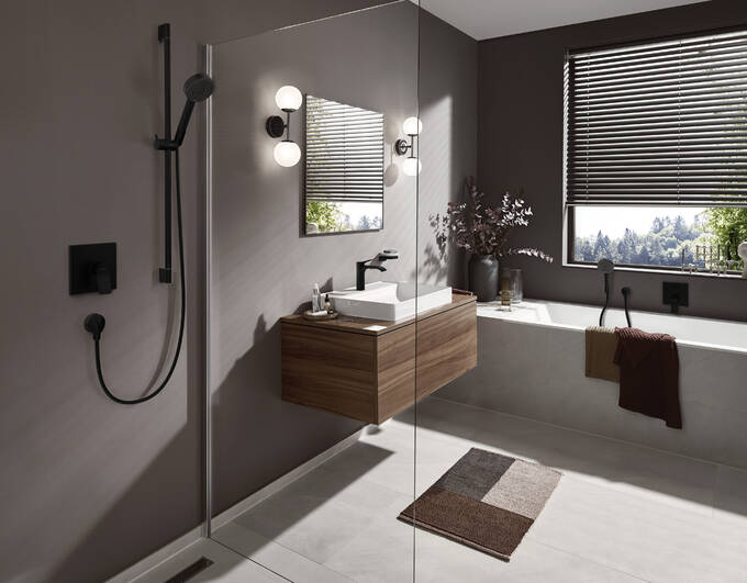 hansgrohe Washbasin faucets: Vivenis, Single-Hole Faucet 110 with Pop ...