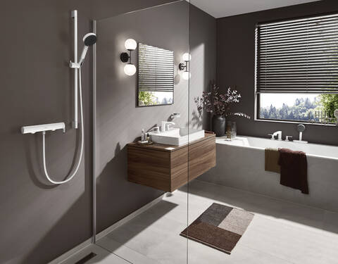 hansgrohe Аксессуары: AddStoris, Мыльница, Арт. № 41746000 | hansgrohe RU
