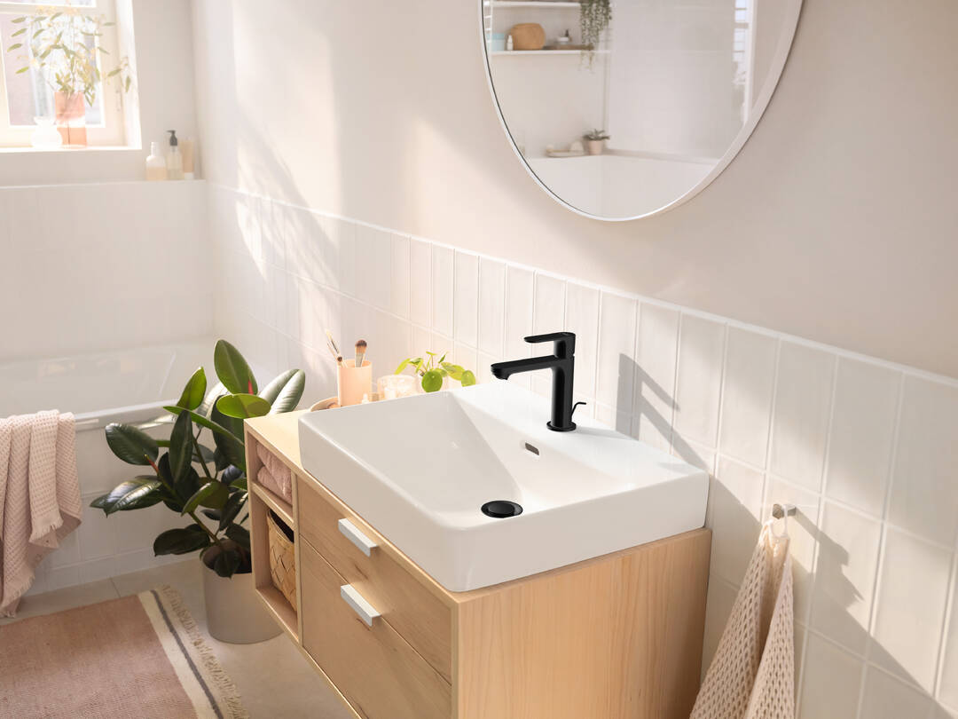 hansgrohe Washbasin mixers: Rebris S, Single lever basin mixer 110 with ...