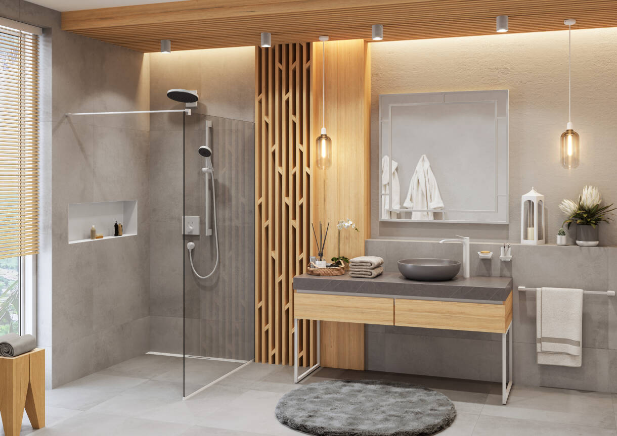 ShowerSelect 2 个出水设备, 前卫白, 货号 15763707 | Hansgrohe Pro CN