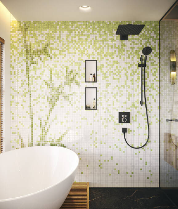 hansgrohe Soffioni doccia: Raindance E, 1 tipo di getto, Cod.art ...