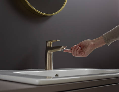 hansgrohe Servantarmaturer: Talis E, 1-greps servantarmatur 110 uten ...