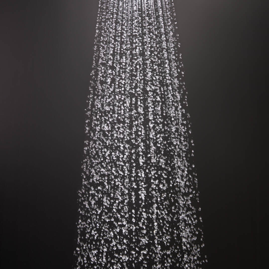 hansgrohe Hånddusjer: Vernis Blend, 2 stråletyper, Art.nr. 26270000 ...