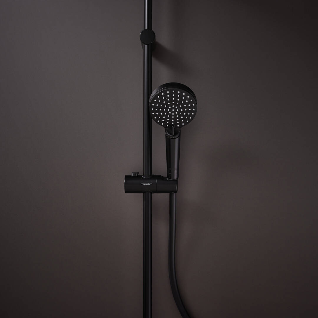 hansgrohe Hand showers: Vernis Blend, 2 spray modes, Item No. 26340670 ...