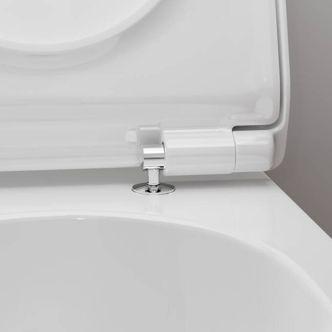hansgrohe Toiletcombinaties: EluPura S, Hangtoilet 540 rimless ...
