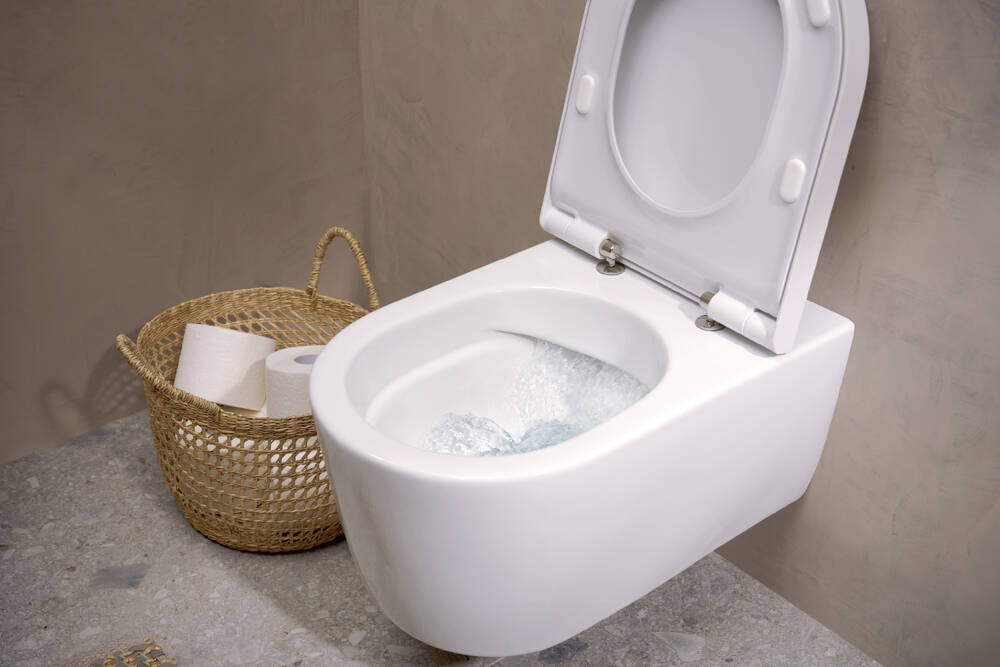 hansgrohe Toilet combinations: EluPura S, Wall hung WC Set AquaFall ...