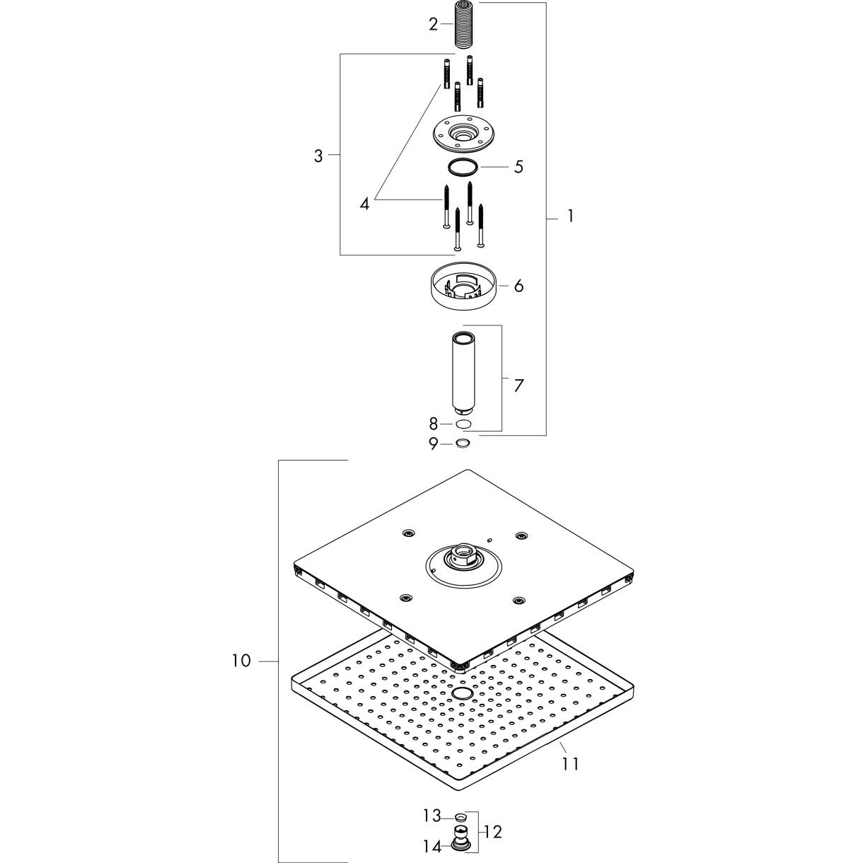 hansgrohe Kopfbrausen: Raindance E, 1 Strahlart, Art.-Nr. 26250140