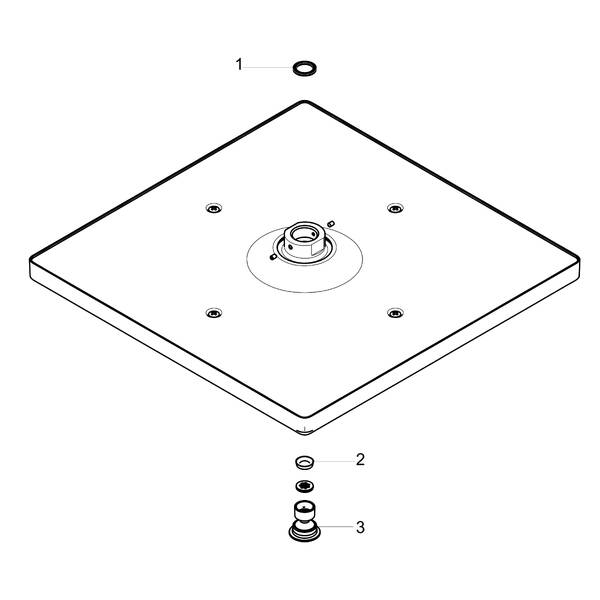 hansgrohe Overhead showers: Raindance E, 1 spray mode, Art. no. 26240141