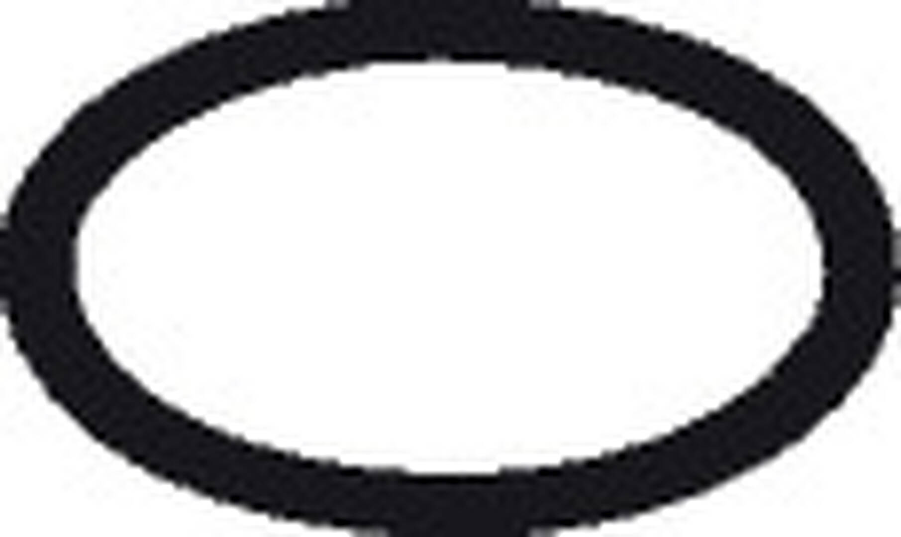 hansgrohe Spare parts: HG O-ring seal 20x1mm, Item No. 98140000