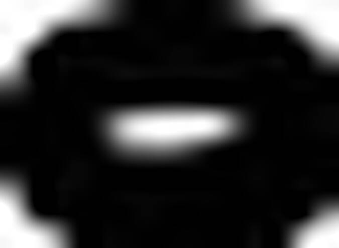 hansgrohe Spare parts: Item No. 98384000