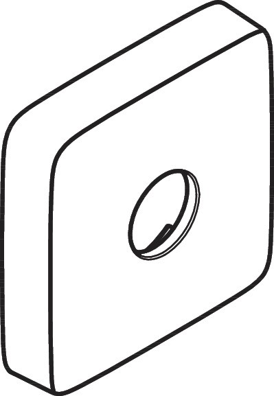 hansgrohe Reservedele: HG escutcheon Raindance f.overhead, Art.nr. 95515000