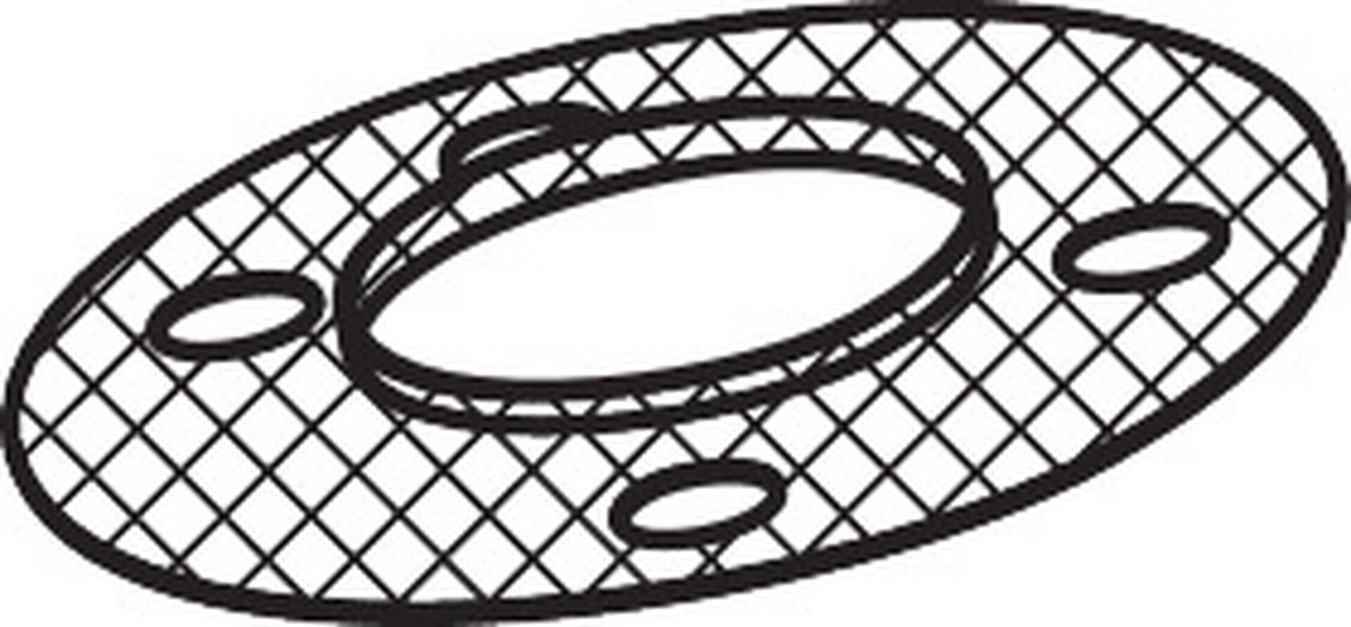 hansgrohe Spare parts: Filter for Pulsify 260 2jet showerhead, Item No ...