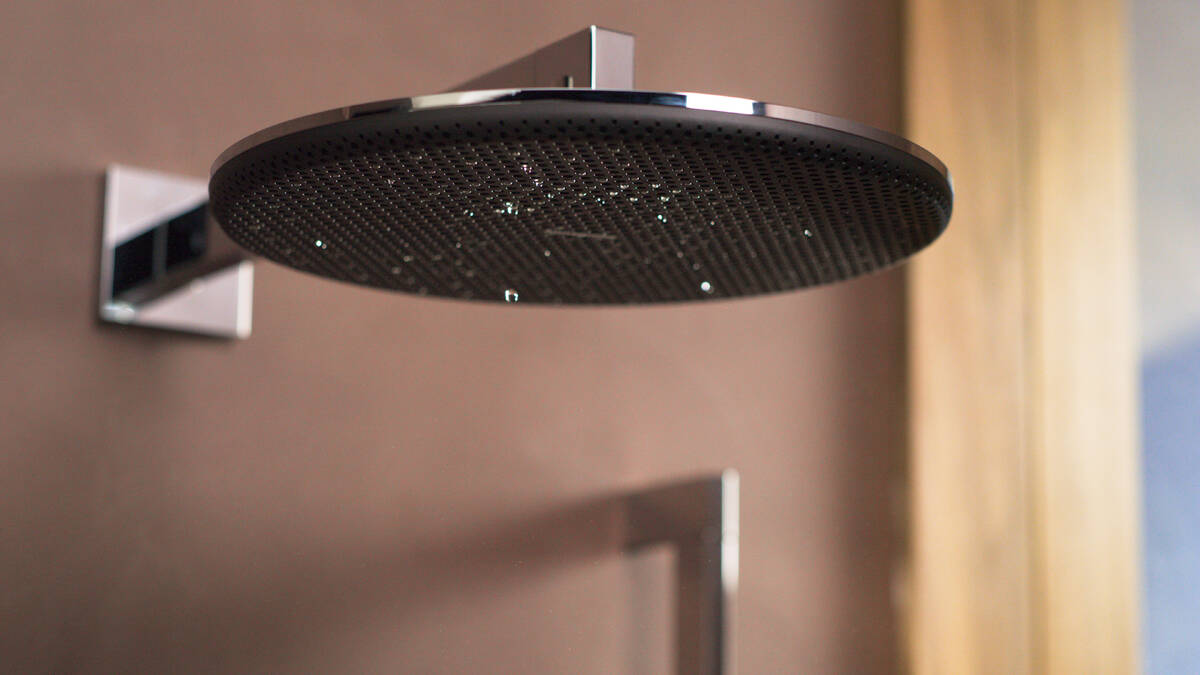 hansgrohe Kopfbrausen: Raindance Alive S, 1 Strahlart, Art.-Nr. 24520000