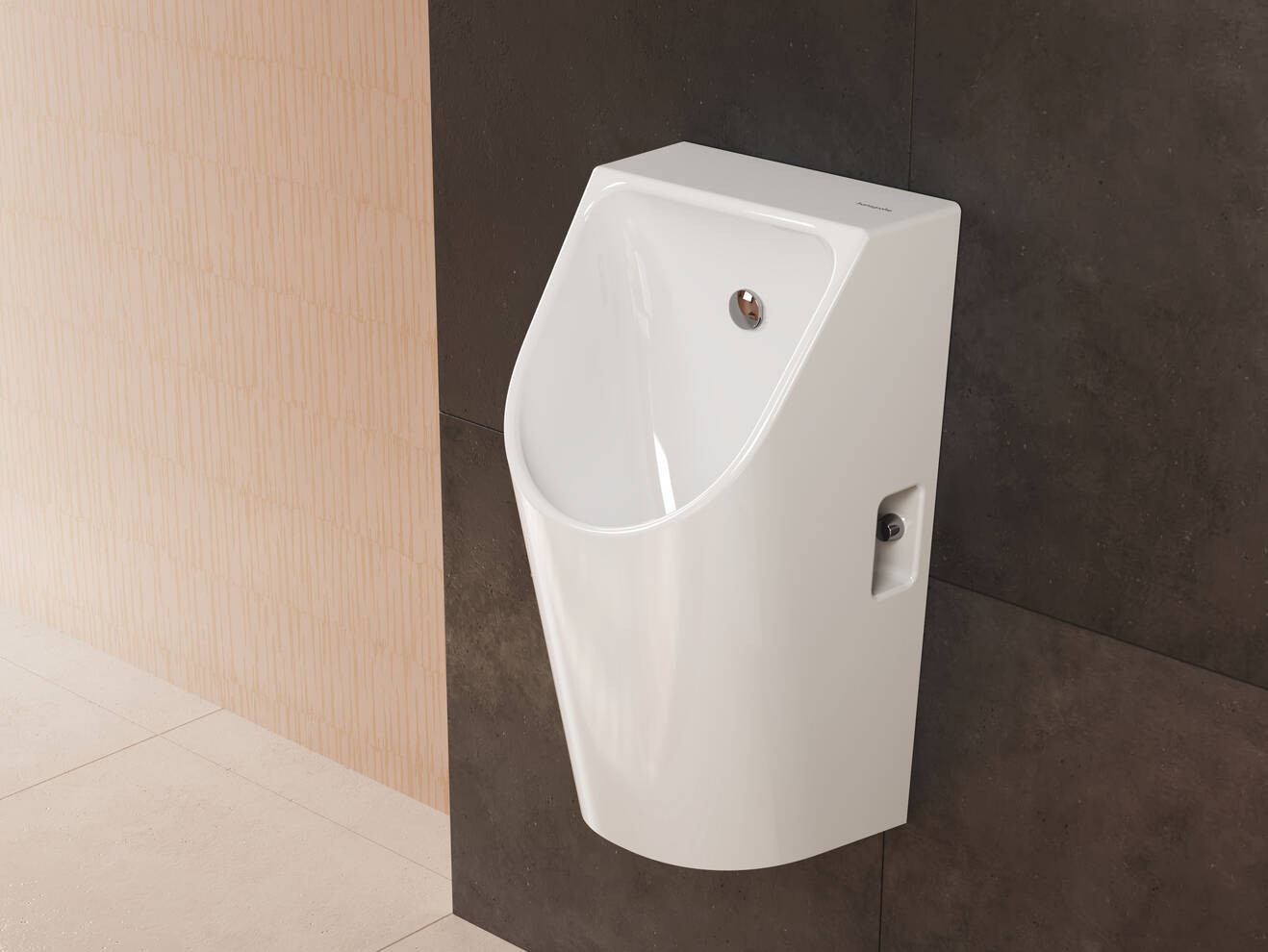 hansgrohe urinals: EluPura Original S, Urinal with rear water supply ...