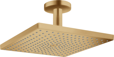 hansgrohe Overhead showers: Raindance E, 1 spray mode, Item No. 26250140