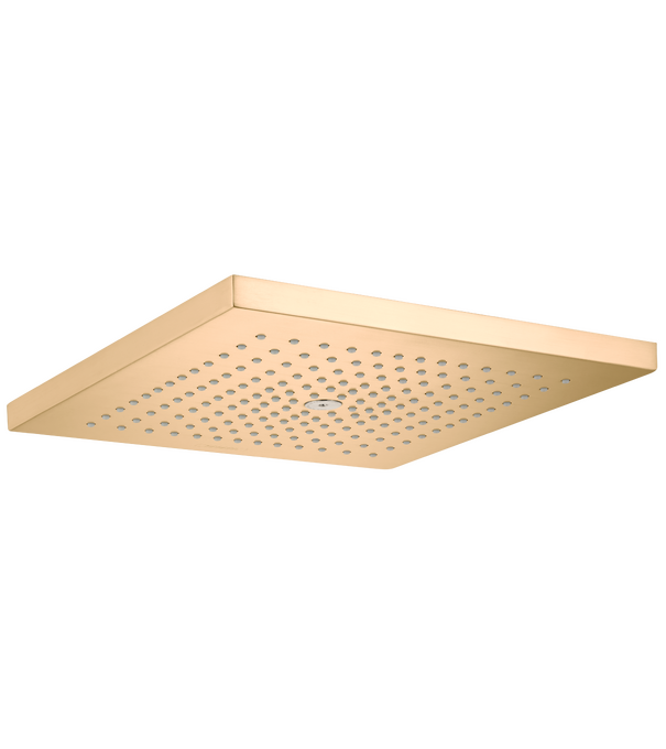 hansgrohe Showerheads: Raindance E, 1 spray mode, Art. no. 26240251
