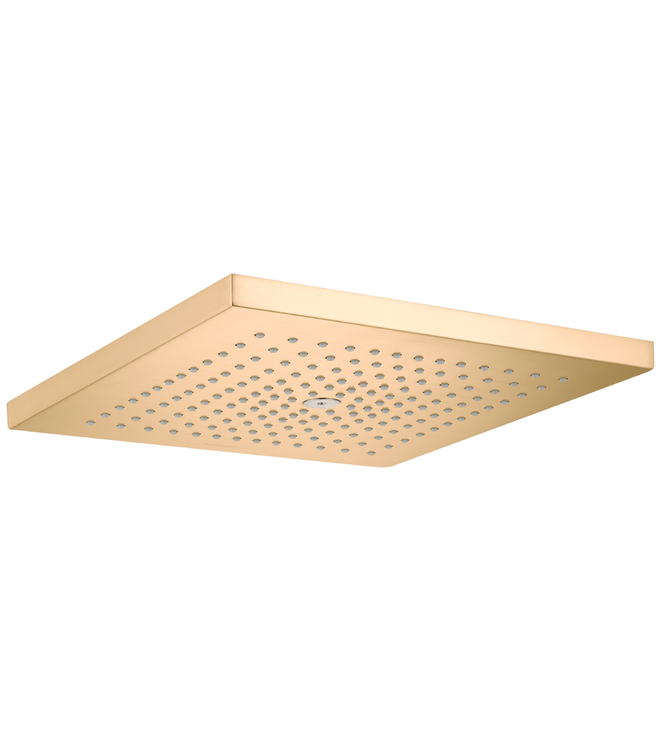 hansgrohe Showerheads: Raindance E, 1 spray mode, Art. no. 26926251